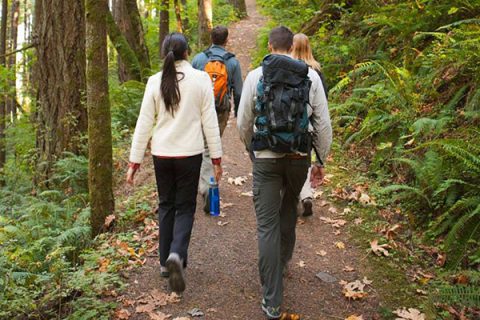 Indoor and Outdoor Activities List | Zen Spring Resort