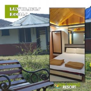 About Us: Get Best Offers & Deals Zen Spring Resort